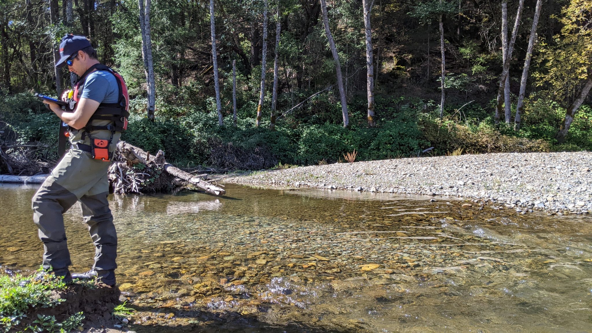 TRRP: Trinity River Surveys: Gravel Bar Mapping
